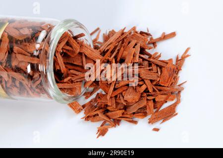 Pterocarpus santalinus (Pterocarpus santalinus) sandalwood tree, potash ...