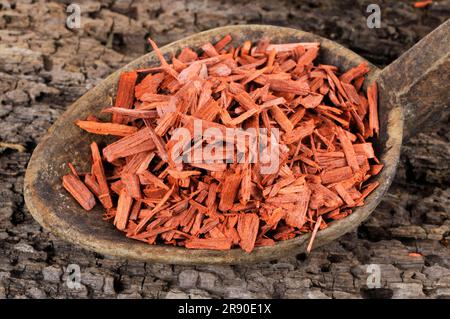 Pterocarpus santalinus (Pterocarpus santalinus) sandalwood tree, potash ...