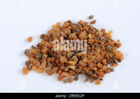 Commiphora habessinica resin (Commiphora abyssinica), incense resin ...