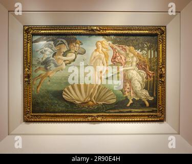 Florence, Italy - Nov 20, 2022: Birth of Venus (c. 1484) by Sandro ...