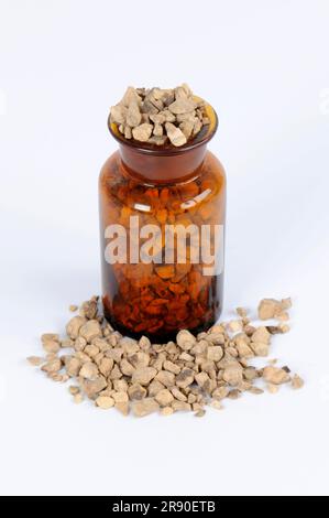 Polygonium multiflori radix, free-standing, object Stock Photo - Alamy