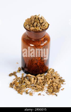 Rhubarb root (Rhei Radix et Rhizoma), Da Huang Stock Photo - Alamy