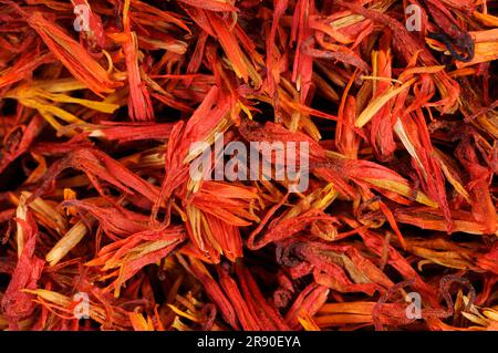 Safflower flowers (Carthami Flos), Hong Hua, cut out, object Stock ...