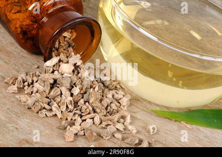 Cup of Chinese Cardoon Root Tea (Dipsaci Radix), Xu Duan, Chinese ...