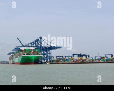 Container ship Ever Alp docked and being loaded/unloaded at the Port of ...