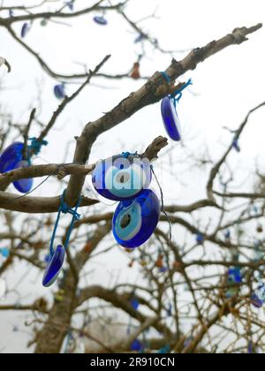 A closeup of tree with multiple blue evil eye charms hanging from it ...