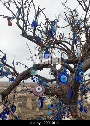 A closeup of tree with multiple blue evil eye charms hanging from it ...