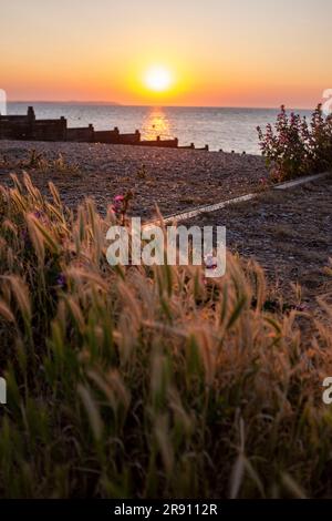 Sunset Whitstable beach kent England Stock Photo - Alamy