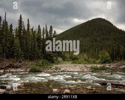 The natural beauty of Bragg Creek Provincial Park in Alberta, Canada ...