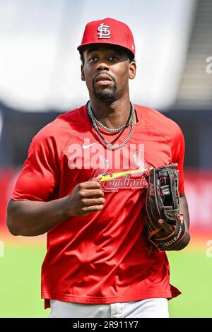 St. Louis Cardinals' Jordan Walker looks on during a baseball game ...