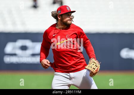 Brendan Donovan #33 of the St. Louis Cardinals tags Nico Hoerner #2 of ...