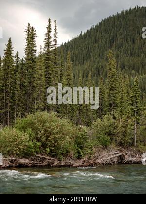 The natural beauty of Bragg Creek Provincial Park in Alberta, Canada ...
