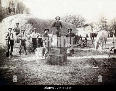 United States: c. 1890 A farmer and his workers using a horse powered ...