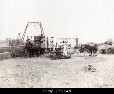 United States: c. 1890 A farmer and his workers using a Finley's Hay ...