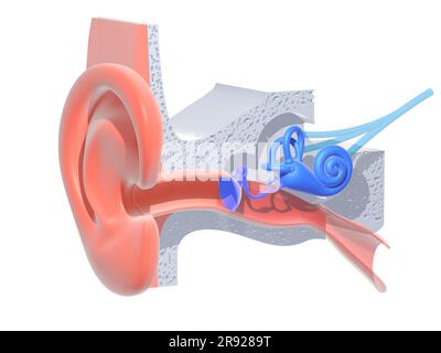 3d illustration of speaker over sound background with concert sign ...
