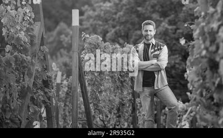 vineyard owner standing at winery among grape farm, copy space ...
