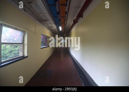 Dark and narrow corridor with neon lights Stock Photo - Alamy