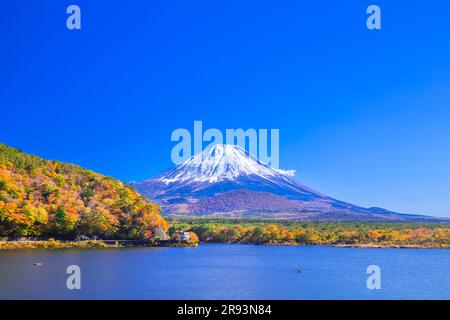 Autumn Leaves at Lake Shojin and Mt Stock Photo - Alamy