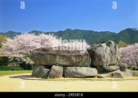 Ishibutai Kofun Tomb and cherry blossoms Stock Photo - Alamy