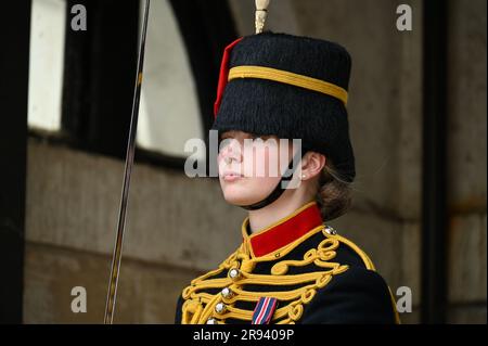 Female Sentry, The King's Troop, Royal Horse Artillery, Horse Guards ...