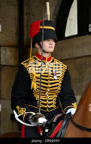 Female Sentry, The King's Troop, Royal Horse Artillery, Horse Guards ...