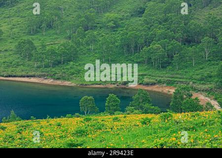Lake Notan and Nikkoukisuge Stock Photo - Alamy