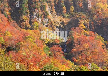 Autumn leaves in the valley of Shomyo-daki Falls Stock Photo - Alamy