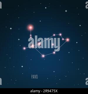 Pavo constellation. Starry night sky. Cluster of stars and galaxies ...