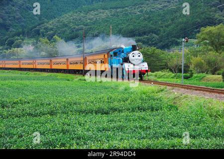 Thomas the Tank Engine and Tea Field Stock Photo - Alamy