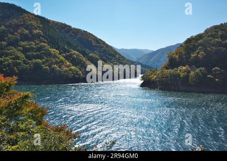 Autumn Leaves at Lake Kuzuryu Stock Photo - Alamy