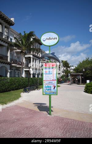 Information Sign Board Playa del Carmen Yucatan Mexico Stock Photo - Alamy