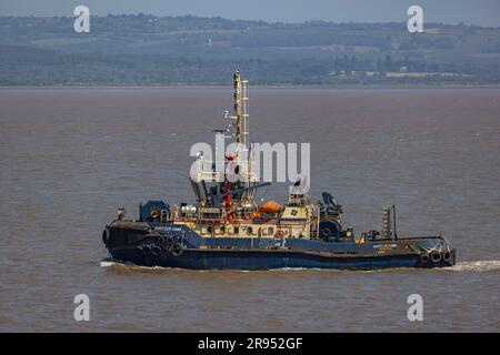 Tug Svitzer Hawk going out to meet a vessel to take them into the docks ...