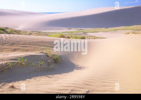 The autumn view of Tottori Sand Dunes, located outside the city center ...