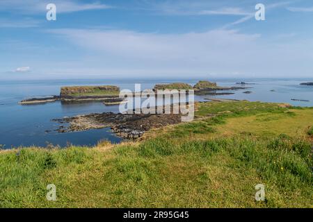 Razorbill, Lunga, Treshnish Isles, Sscotland Stock Photo - Alamy