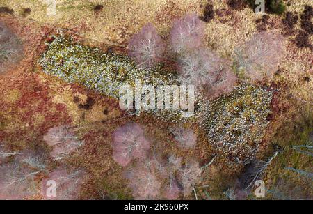 Blue Cairn of Balnagowan. Howe of Cromar, Scotland. 53m Neolithic long ...