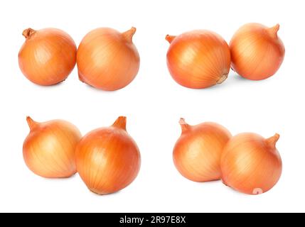 Collage of Fresh onion bulbs isolated on a white background cutout ...