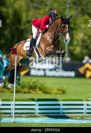Tiffany Foster of Canada competes in the Rolex Pan American Grand Prix ...