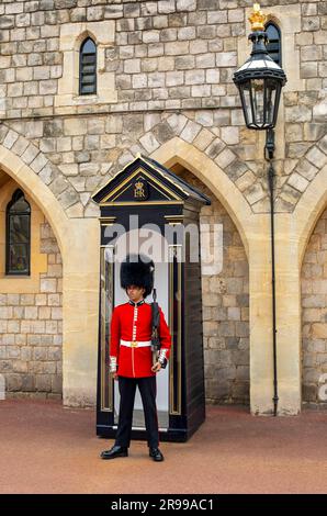 A sentry of the Welsh Guards at Windsor Castle, Windsor, Berkshire ...
