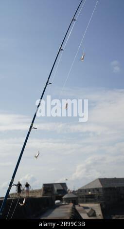 Fly fishing rig ready to go with copy space Stock Photo - Alamy