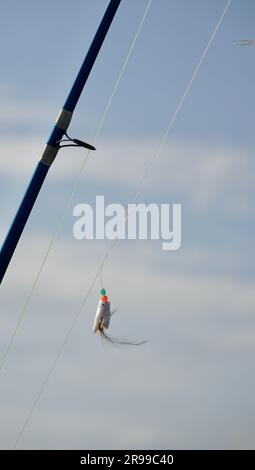 Fly fishing rig ready to go with copy space Stock Photo - Alamy