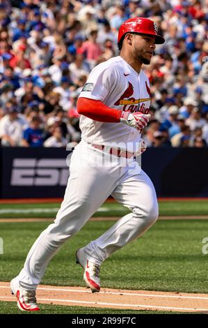 St. Louis Cardinals first base coach Stubby Clapp (82) in the seventh ...