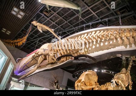 the exhibition "Biodiversity – We are All Part of the Same Ecosystem ...