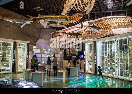 the exhibition "Biodiversity – We are All Part of the Same Ecosystem ...