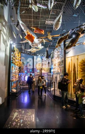 the exhibition "Biodiversity – We are All Part of the Same Ecosystem ...