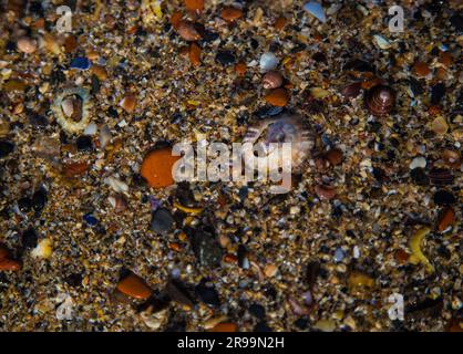 abstract banff beach Scotland Stock Photo - Alamy