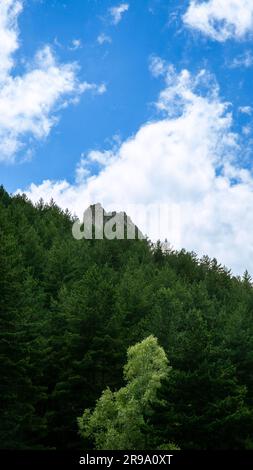 Unique Mountain View with Pine Trees Stock Photo - Alamy