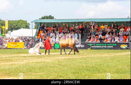 Ben Atkinson action horses giving a display at the Royal Cheshire ...