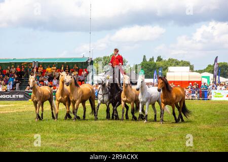 Ben Atkinson action horses giving a display at the Royal Cheshire ...