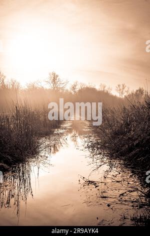 Small idyllic lake on a misty autumn morning Stock Photo - Alamy