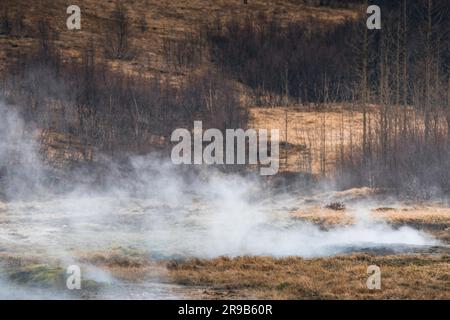 Geothermal meadow with steam in Iceland Stock Photo - Alamy